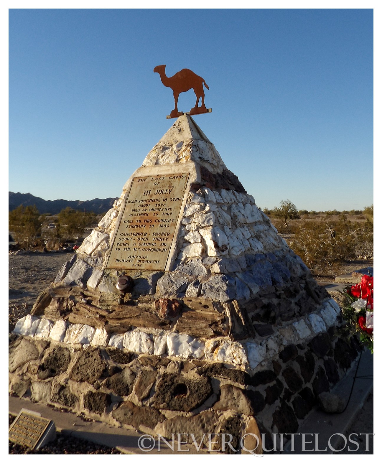 THE CAMELS OF ARIZONA | NEVER QUITE LOST